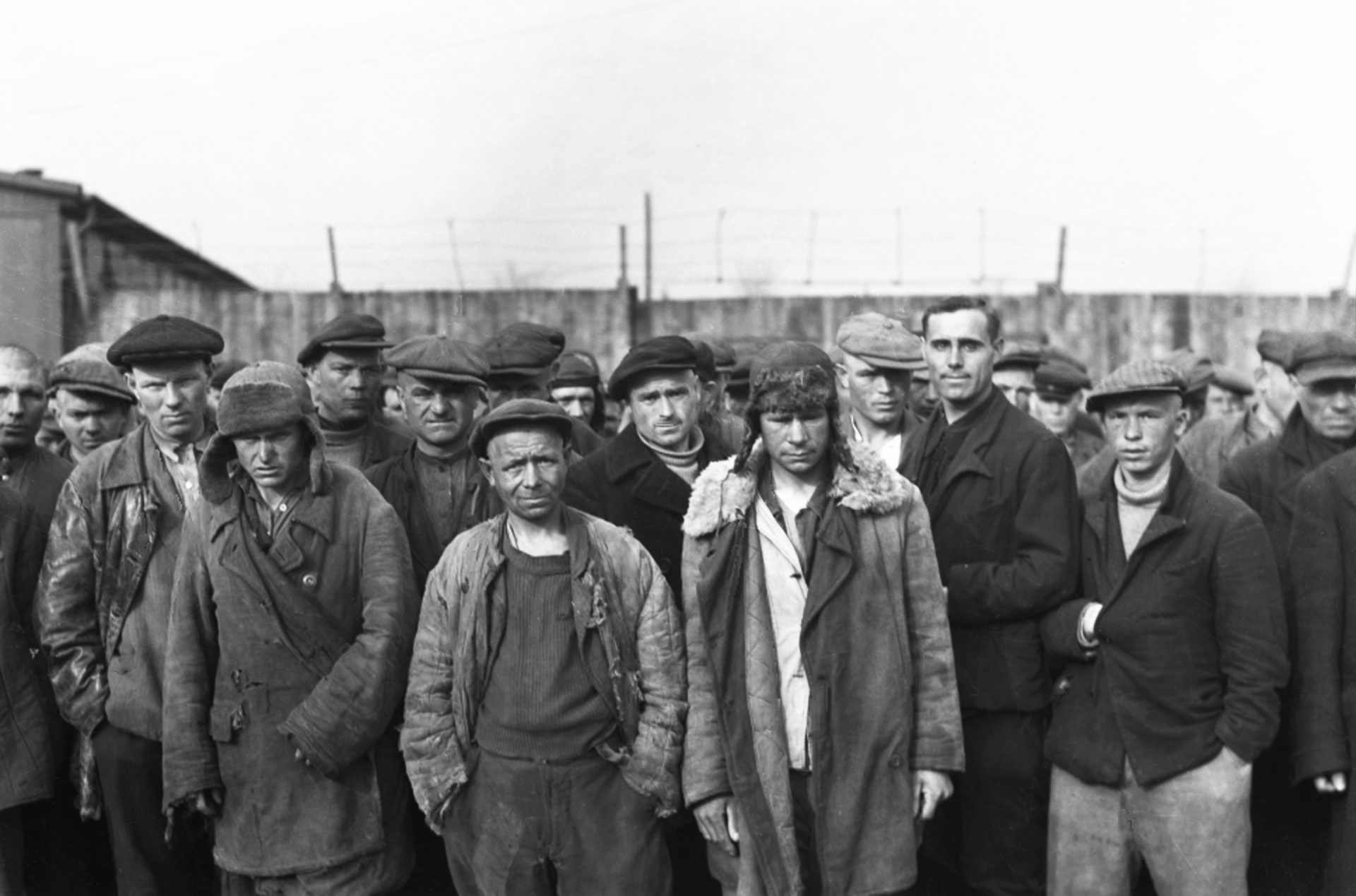 Coal, War, and Peace in Twentieth-Century Europe - Springs